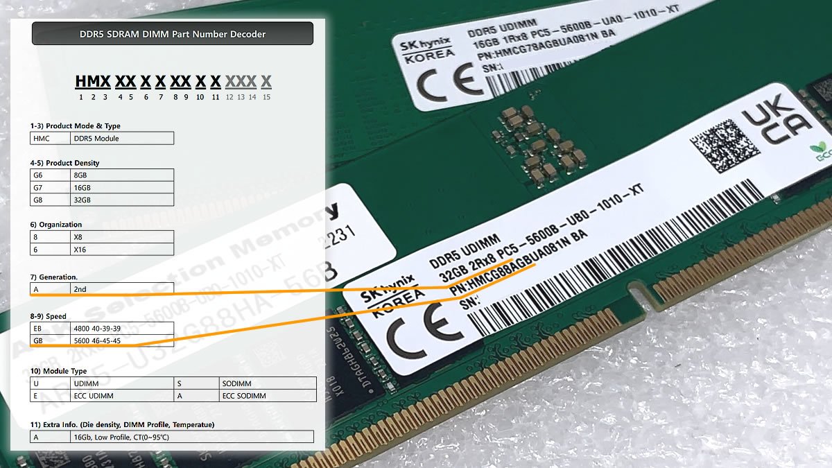 国内初、SKhynix DDR5-5600ネイティブDRAM搭載純正JEDECモジュール採用メモリーがアークセレクトシリーズから登場 ...
